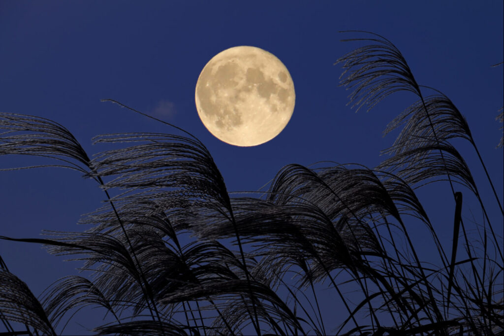 「季節の変わり目」は英語で？ | 英会話スクールが教える生きた英語表現「NOVA LEARNING」｜駅前留学NOVA【公式】英会話スクール・英会話教室