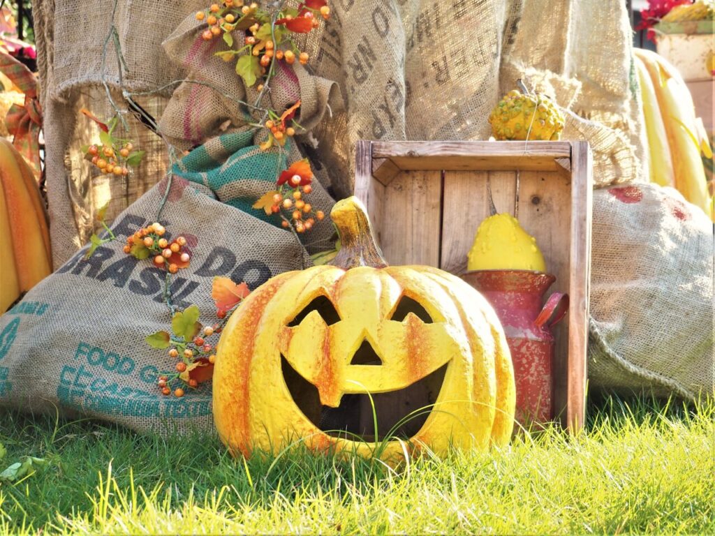 「かぼちゃ」は英語で？ | 英会話スクールが教える生きた英語表現「NOVA LEARNING」｜駅前留学NOVA【公式】英会話スクール・英会話教室