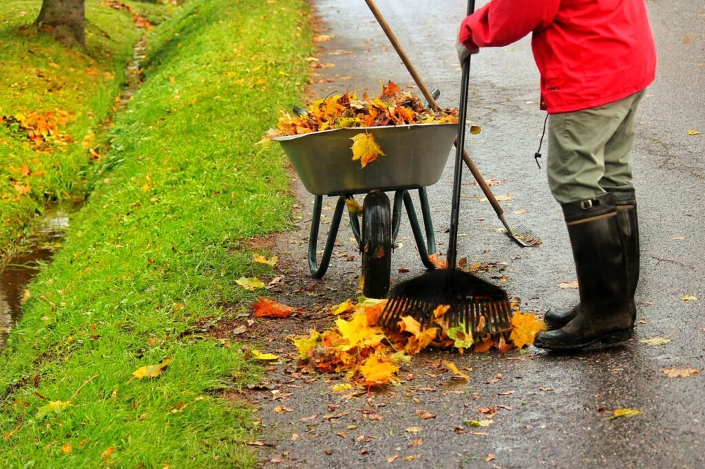 いろいろな「集める」英語で使い分けられる？ | 英会話スクールが教える生きた英語表現「NOVA LEARNING」｜駅前留学NOVA【公式】英会話スクール・英会話教室